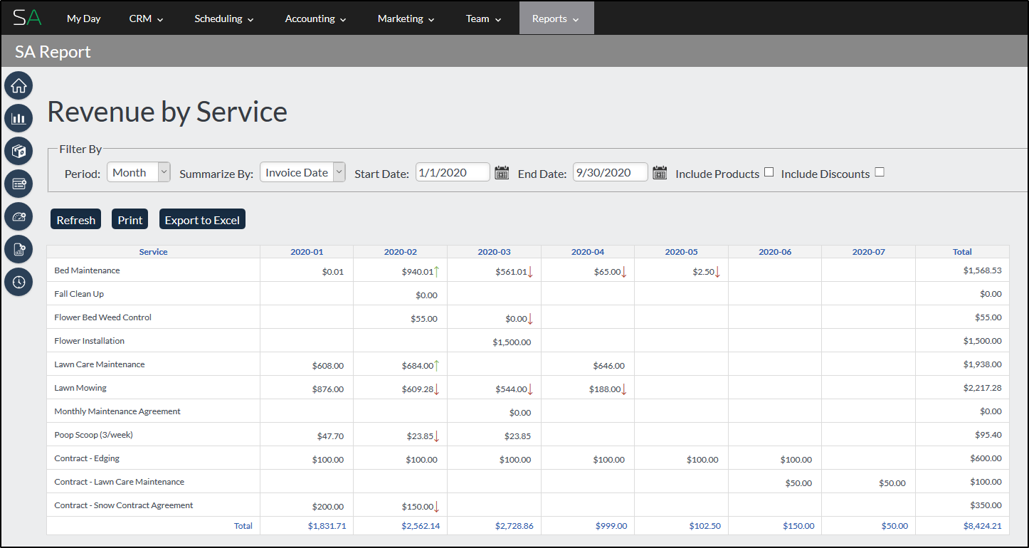 Revenue by Service Summary Report